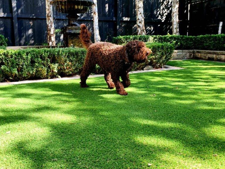 Synthetic Artificial Fake Grass & Turf For Pets Dogs: K9Grass