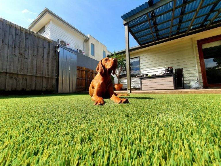 Synthetic Artificial Fake Grass & Turf For Pets Dogs: K9Grass