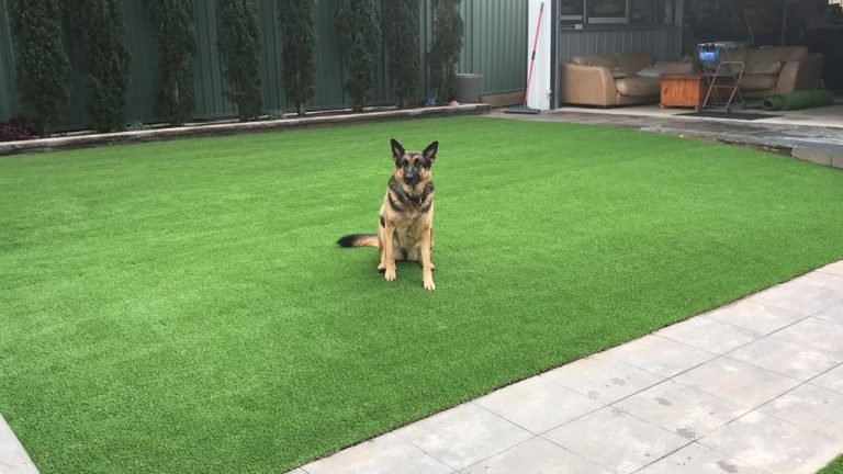 Artificial Pet Grass for Dogs | Synthetic Fake K9 Friendly Turf